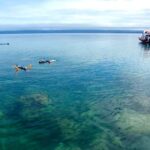 Port Douglas: Low Isles Reef Snorkeling Tour - Who Should Consider This Tour?