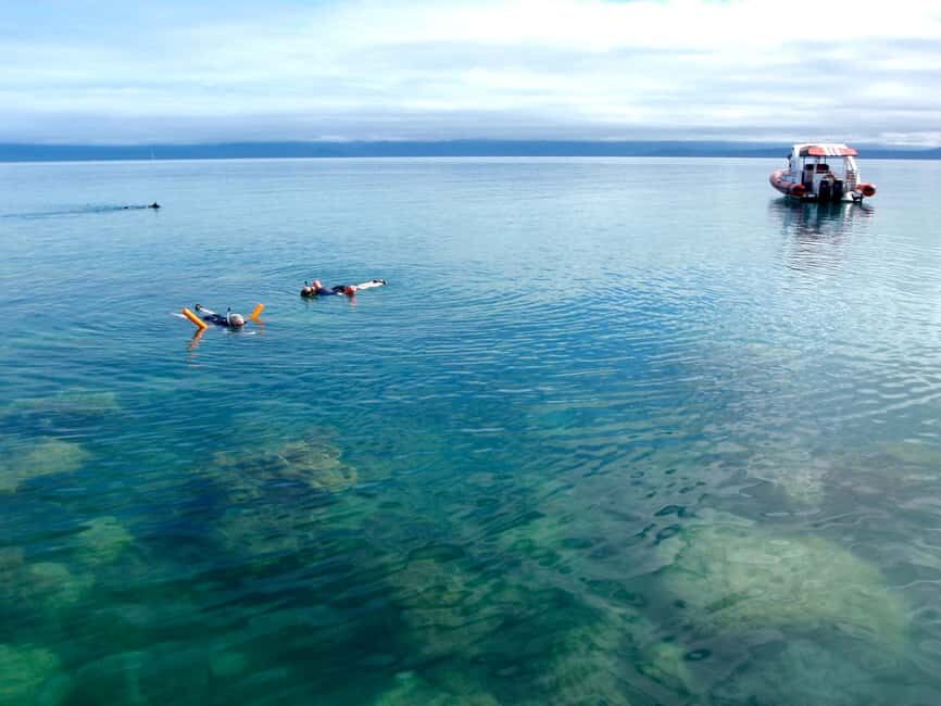 Port Douglas: Low Isles Reef Snorkeling Tour - Who Should Consider This Tour?