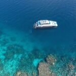 Port Douglas: Outer Barrier Reef Snorkel and Dive Options - Who Will Love This Tour?