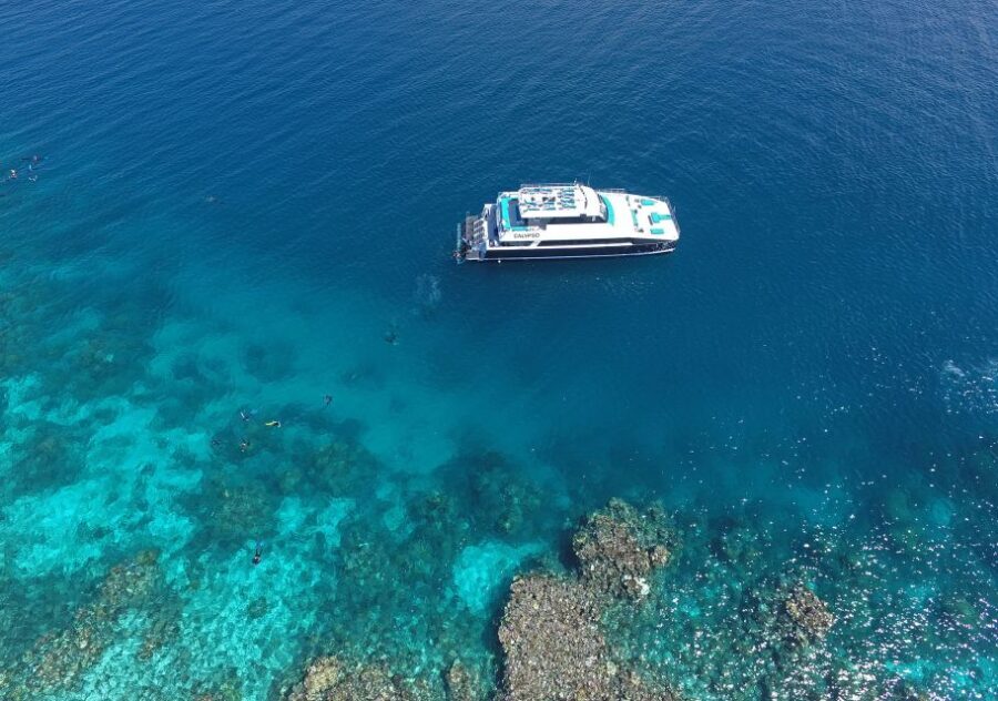 Port Douglas: Outer Barrier Reef Snorkel and Dive Options - Who Will Love This Tour?