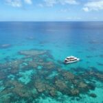 Port Douglas: Outer Great Barrier Reef Snorkeling Cruise - Who Would Love This Tour?