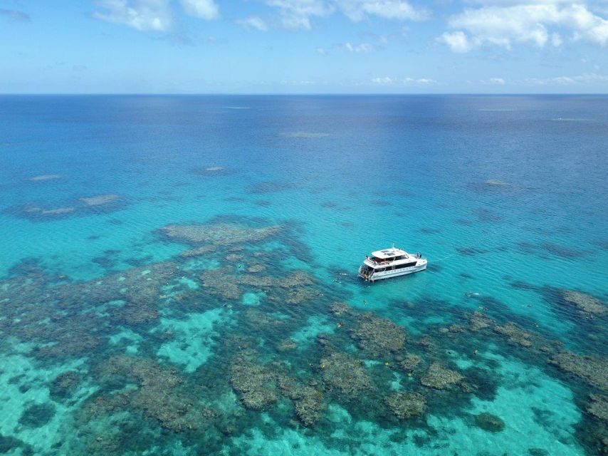 Port Douglas: Outer Great Barrier Reef Snorkeling Cruise - Who Would Love This Tour?