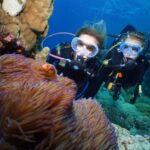 Port Douglas: Poseidon Outer Barrier Reef Dive and Snorkel - An Overview of the Experience