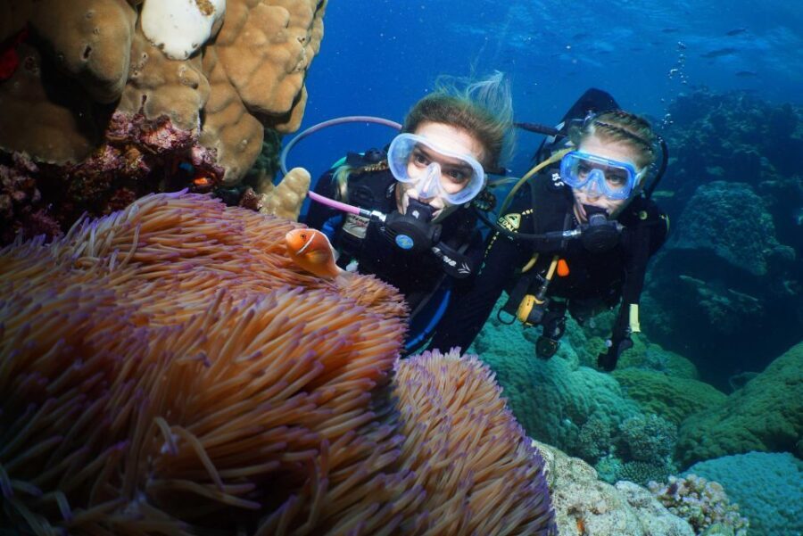 Port Douglas: Poseidon Outer Barrier Reef Dive and Snorkel - An Overview of the Experience