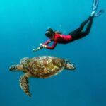 Port Douglas: Quicksilver Outer Barrier Reef Full-Day Cruise - The Reef Platform: Your Underwater Base