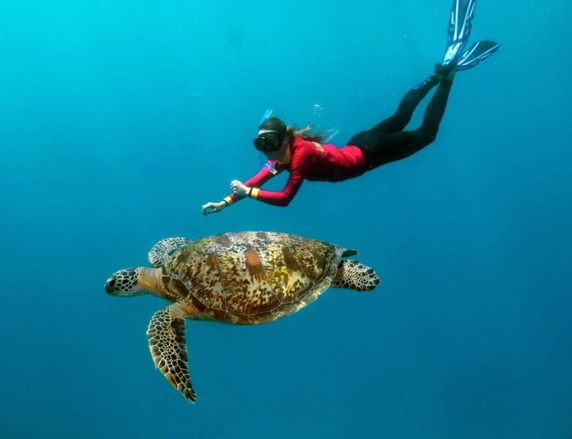 Port Douglas: Quicksilver Outer Barrier Reef Full-Day Cruise - The Reef Platform: Your Underwater Base