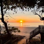 Port Douglas To Cairns Airport Shared Shuttle - Why Choose This Shuttle?