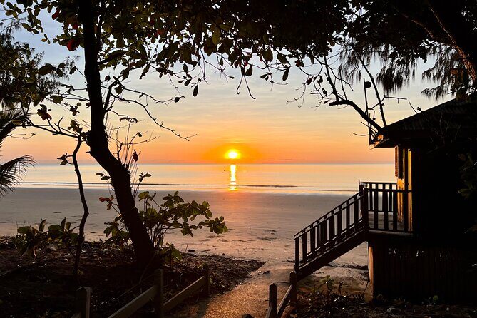 Port Douglas To Cairns Airport Shared Shuttle - Why Choose This Shuttle?