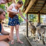 Port Douglas: Wildlife Habitat Entrance Ticket - Unique and Thrilling Attractions