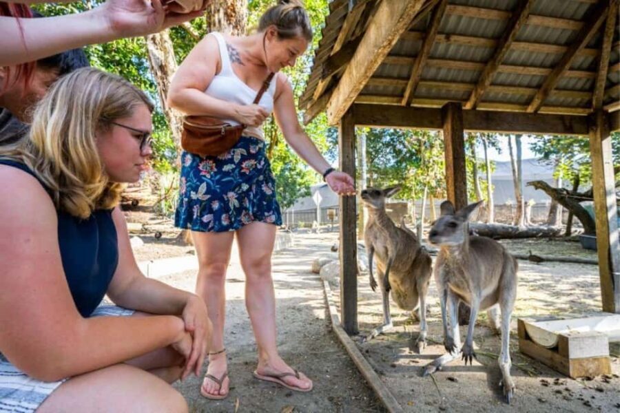 Port Douglas: Wildlife Habitat Entrance Ticket - Unique and Thrilling Attractions
