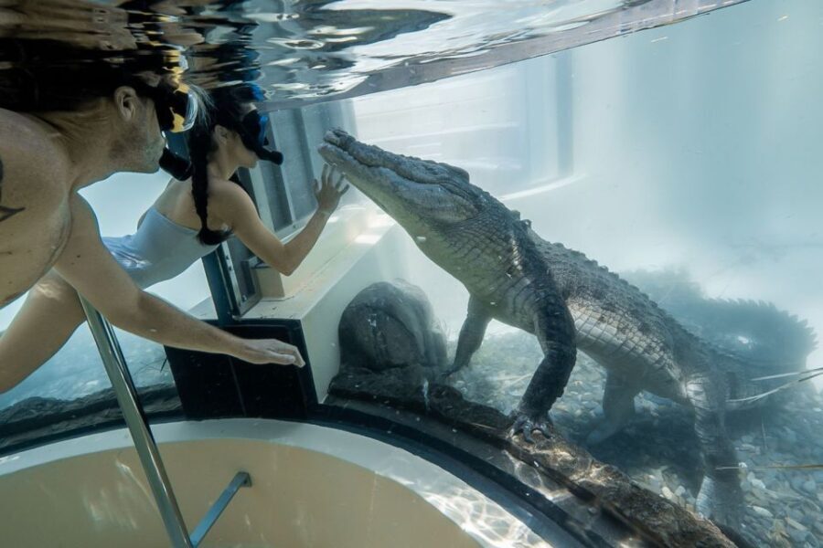 Port Douglas: Wildlife Habitat Swim with Crocodiles - What Sets This Experience Apart?