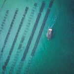 Port Lincoln: Coffin Bay Seafood, Wine, and Nature Day Trip - The Experience in Detail