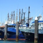 Port Lincoln Day Tour: Eyre Peninsula - What Makes This Tour Stand Out?