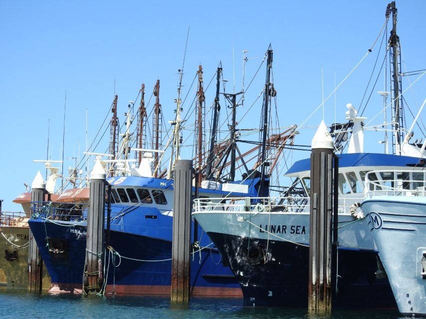 Port Lincoln Day Tour: Eyre Peninsula - What Makes This Tour Stand Out?