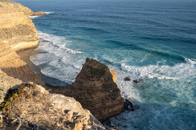 Port Lincoln Full-day Exploration Tour - The Value of Expert Guidance and Smaller Groups