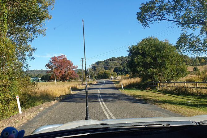 Port Macquarie Day Tour to Water Falls and Lookouts - A Detailed Look at the Tour Itinerary