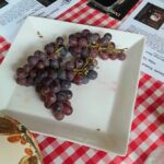 Port Macquarie Wine and Beer, Hastings Tasting Trail Tour - Frequently Asked Questions