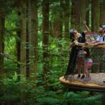 Port of Tauranga, Te Puia/Redwoods TreeWalk Glowworms/Hells Gate - What’s Included and What’s Not