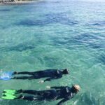 Port Phillip Bay Snorkeling with Sea Dragons - The Value and Overall Impression