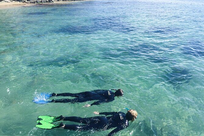 Port Phillip Bay Snorkeling with Sea Dragons - The Value and Overall Impression