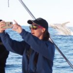 Port Stephens 3 Hour Whale and Dolphin Watch Cruise - An In-Depth Look at the 3-Hour Whale and Dolphin Watch Cruise