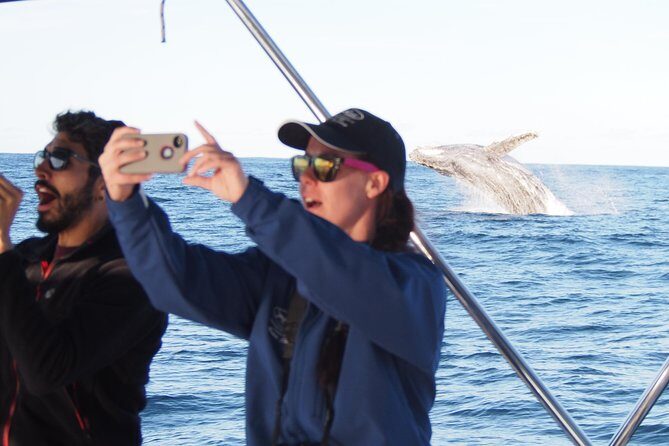 Port Stephens 3 Hour Whale and Dolphin Watch Cruise - An In-Depth Look at the 3-Hour Whale and Dolphin Watch Cruise