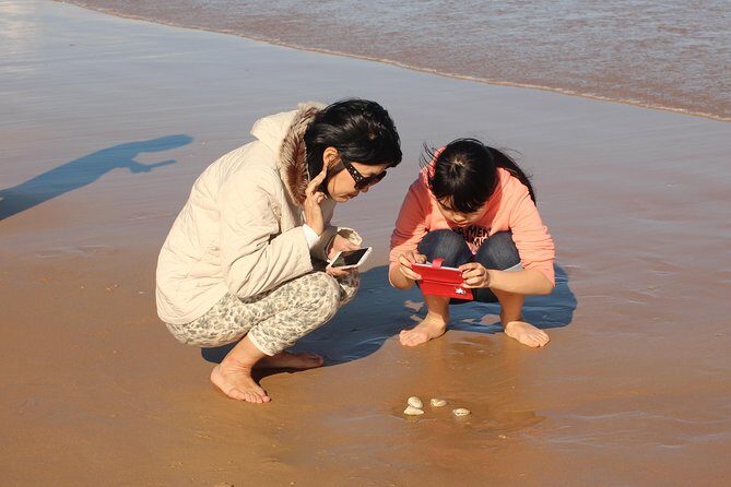 Port Stephens 4WD Beach Sand Dune Adventure - The Sandboarding Experience: Fun and Accessible