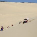 Port Stephens, Beach and Sand Dune 4WD Passenger Tour - Authentic Reviews from Travelers