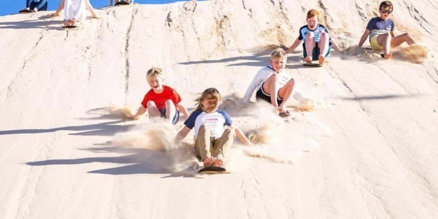Port Stephens Experience + Sydney Hop-on-Hop-off Bus Ticket - Analyzing the Value