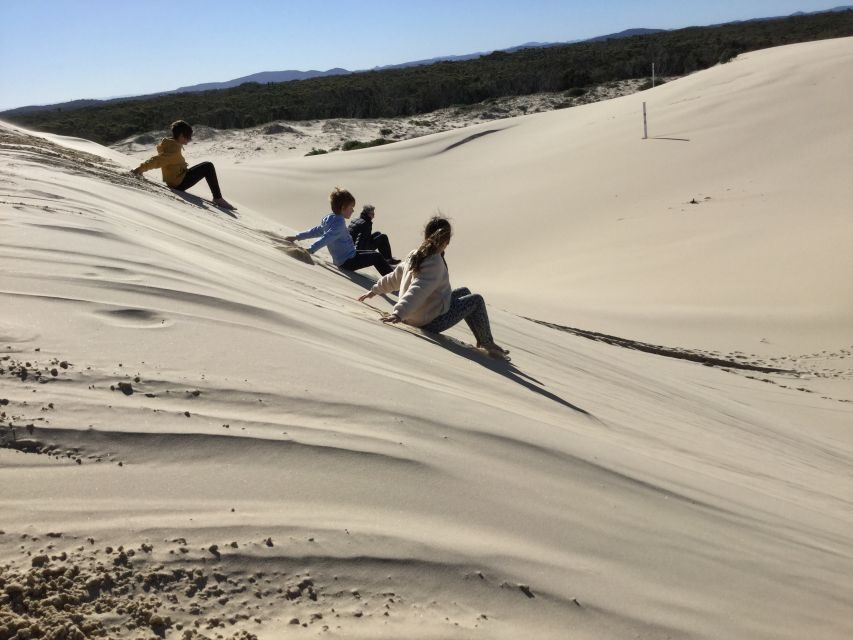 Port Stephens: Stockton Sand Dunes 4WD Tag-Along Tour - Final Thoughts: Who Will Love This Tour?