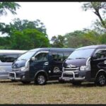 Port Vila Full Day Tour - Experience the Real Vanuatu - Who Should Take This Tour?