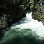 Ports of Tauranga/Rotorua/Tga - 6 Hours Rotorua Highlights Tour - The Balance of Value and Experience