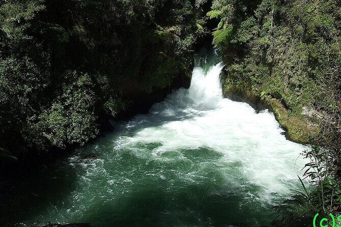 Ports of Tauranga/Rotorua/Tga - 6 Hours Rotorua Highlights Tour - The Balance of Value and Experience