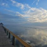 Premier Transfers and Tours Fiji - FAQs About Premier Transfers and Tours Fiji