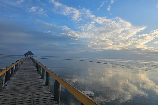 Premier Transfers and Tours Fiji - FAQs About Premier Transfers and Tours Fiji