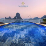 Premium 5-Star Day Cruise: Ha Long & Lan Ha Bay Tour - What Sets This Tour Apart?