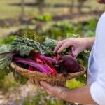 Premium Hunter Wine Tour with Degustation Lunch and Paired Wines - Why This Tour Is Worth Considering