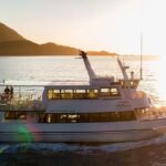 Premium Milford Sound Tour, Cruise & Lunch from Te Anau - How Value-Focused is This Tour?