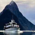 Premium Milford Sound Tour Including Cruise, Flight & Lunch - Scenic Flight: A Bird’s-Eye Perspective