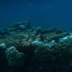 Premium Sea Scooter Lagoon Discovery - Itinerary Breakdown: What to Expect