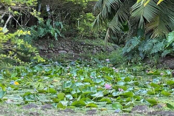 Premium Tour DE Tahiti, EN Half Day Privatised - The Price & Its Value