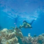 Premium Whitsunday Islands Sail, SUP & Snorkel Tour - What Makes This Tour Stand Out?