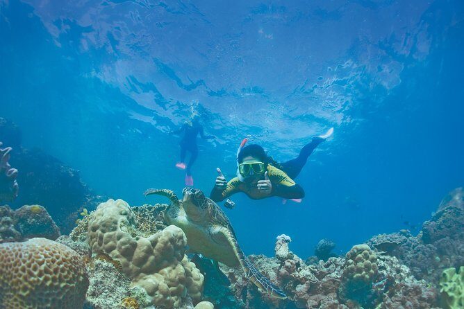 Premium Whitsunday Islands Sail, SUP & Snorkel Tour - What Makes This Tour Stand Out?