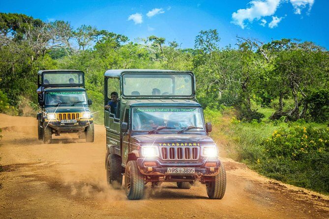 Private 02 Day Leopard Safari in Yala from Colombo - Final Thoughts