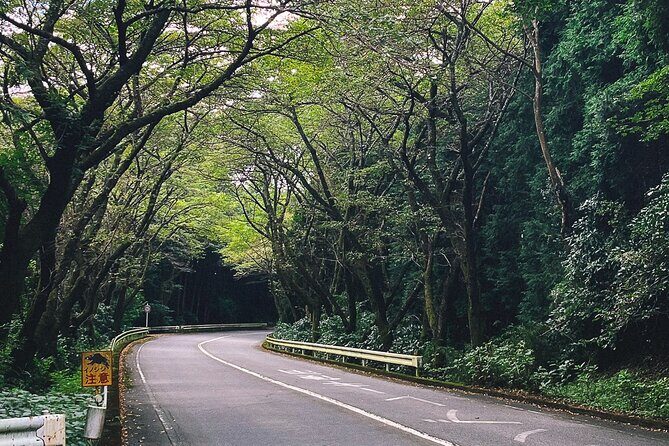 Private 1 Day JDM/Sports Car Tour to Mt Fuji, Hakone, and Onsen - An In-Depth Look at the Itinerary