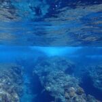 Private 4 Hours Reef Discovery Luxury Private Treasure Hunt in Bora Bora - Why This Tour Offers Excellent Value