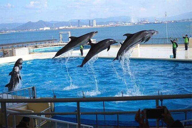 Private 9 persons Chartered Bus in Fukuoka - Who Will Love This Tour?