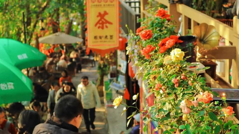 Private Afternoon Tour: Hidden Chongqing in Half a Day - What to Expect from the Tour