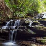 Private All Blue Mountains Day Tour - What Travelers Say: Authentic Perspectives