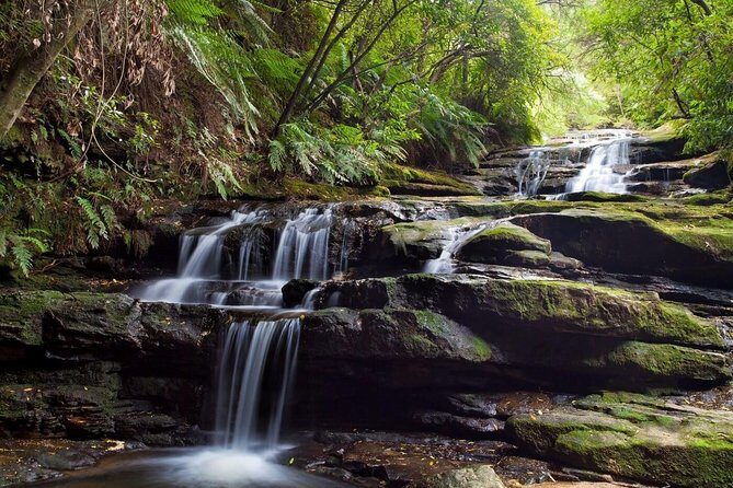 Private All Blue Mountains Day Tour - What Travelers Say: Authentic Perspectives